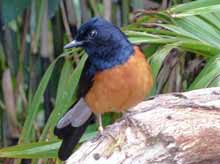 Martin Ridout workplace