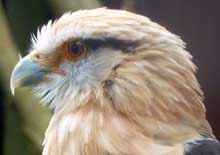 Martin Ridout workplace