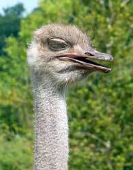 Martin Ridout workplace