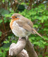 Martin Ridout workplace