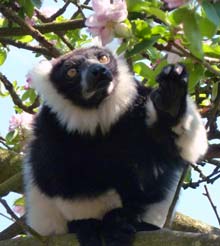 Martin Ridout workplace